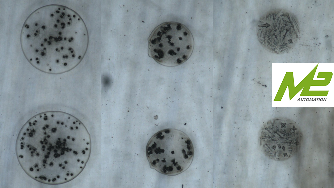 Spotting Human Cells Vrije University And M2 Automation Gmbh M2 Automation